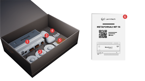 Metaforsa Quick Start