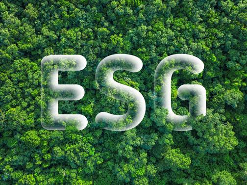 The rise of ESG