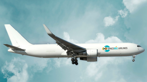 Spacebee airlines