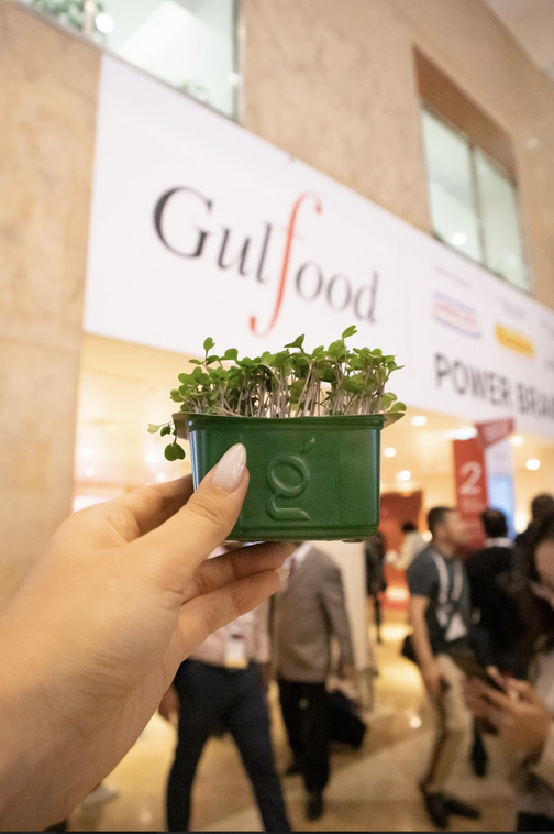 Greeneration at Gulfood 2025: Elevating Culinary Excellence in Dubai