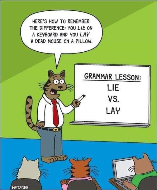 Verb to lie in English: 3 forms of the verb to lie, translation ...