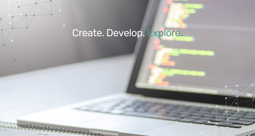 Natlex │ Software development & IT support services