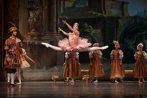 The Polish Ballet: A History of Grace and Movement