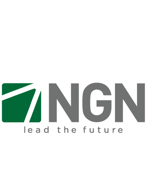 NGN Siber Güvenlik Çözümleri