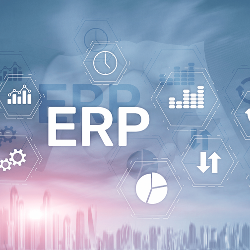 ERP Software Development │ Blog post